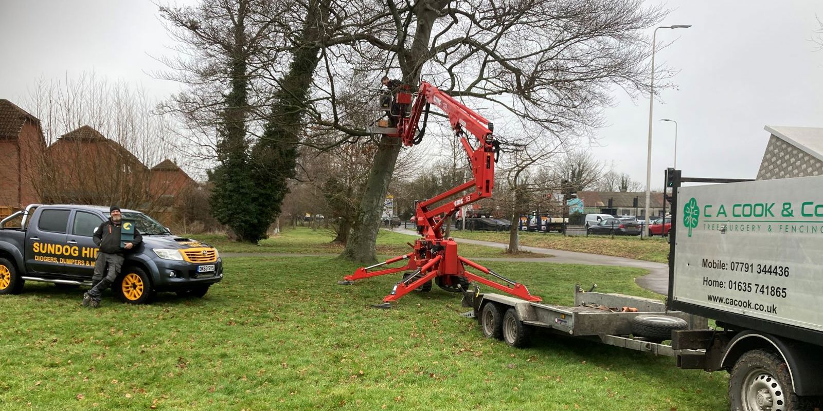 14 BAT BOXES INSTALLED IN VICTORIA PARK